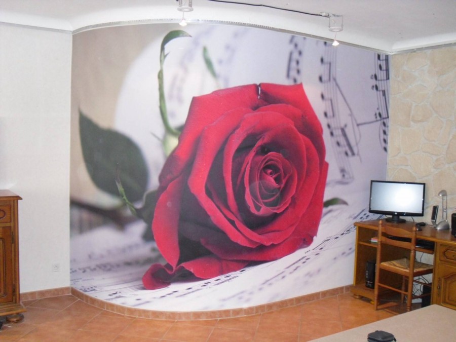 Toile tendue murale : tous les critères Toile tendue murale : tous les critères